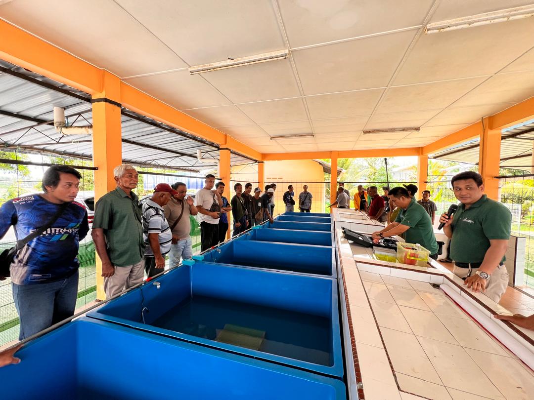 Sustainable Grouper Farming: Bridging Academia and Communities in Blue ...