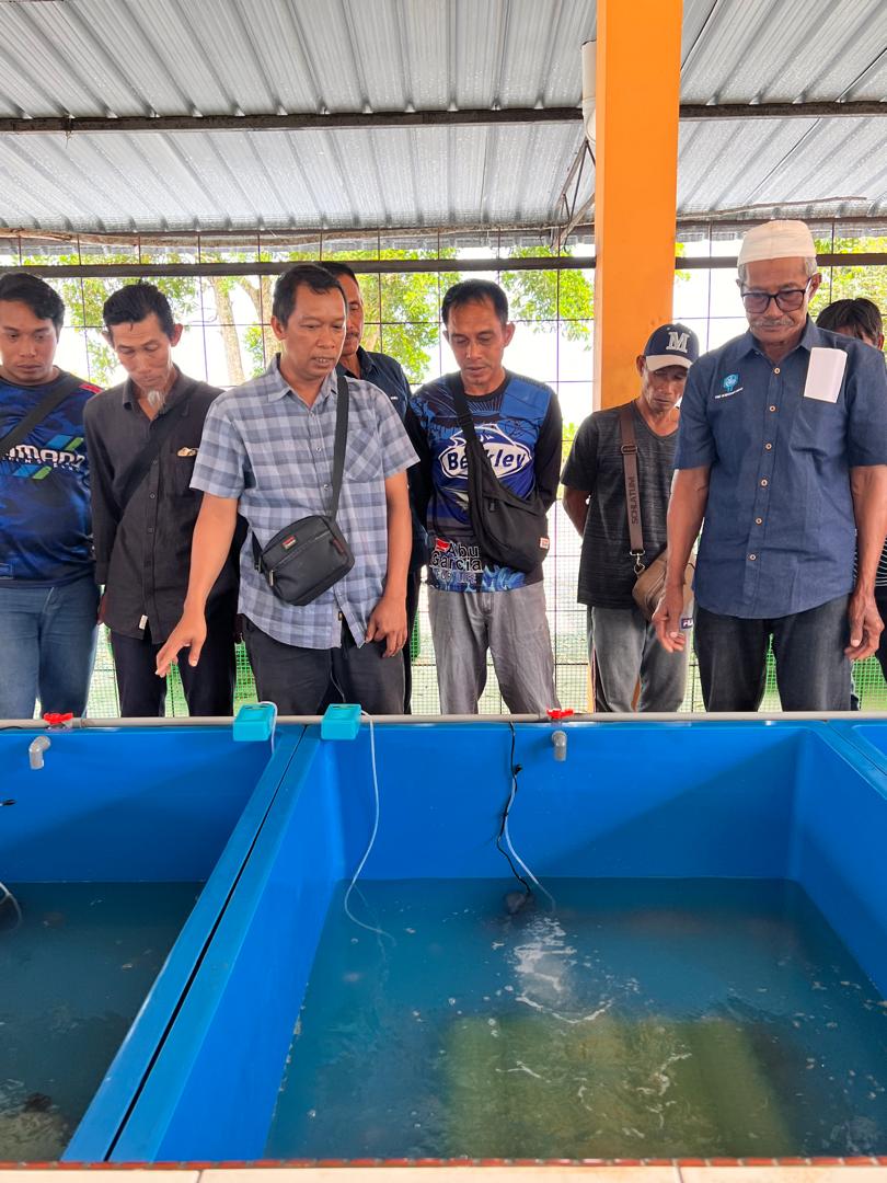 Sustainable Grouper Farming: Bridging Academia and Communities in Blue ...
